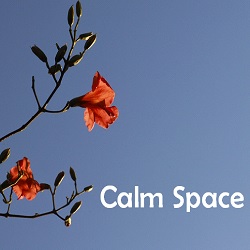 calm_space_small.jpg | Staff Counselling Centre